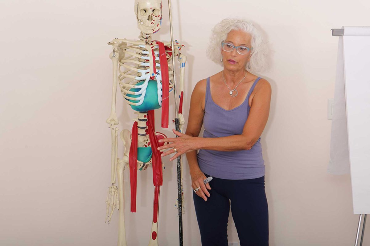 Yoga Home - Leila Stuart Yoga Therapy